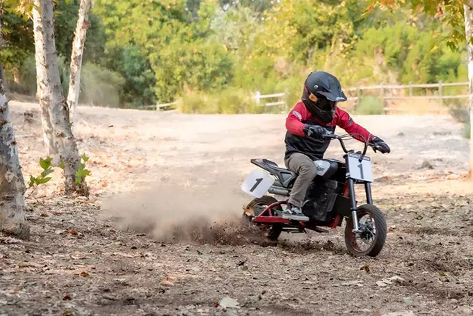 Індієць випускає найкращий дитячий мотоцикл із eFTR Jr Flat Tracker 10095_5