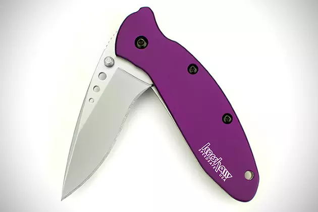 Kershaw 1620PUR Scallion Folding Knife