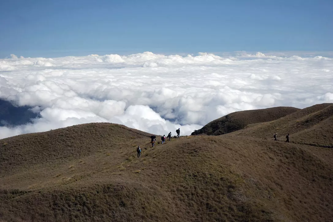 12 उत्तम क्याम्पिङ फूडहरू ट्रेलहरूमा प्याक गर्न 1227_3