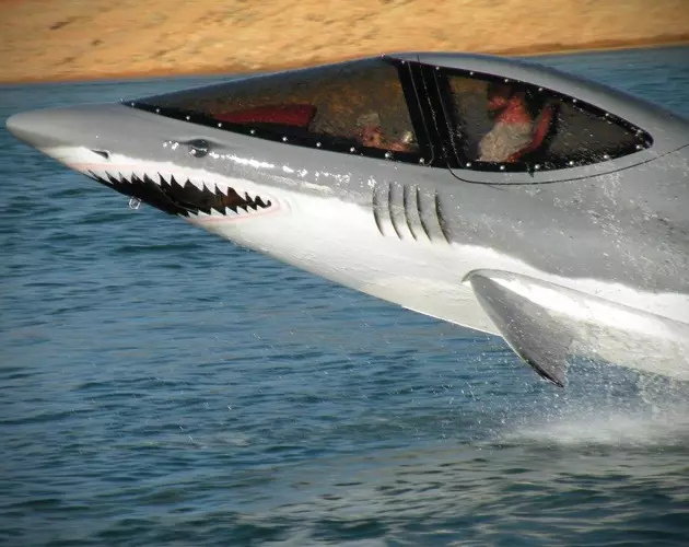 Seabreacher 的鲨鱼潜艇 (4)