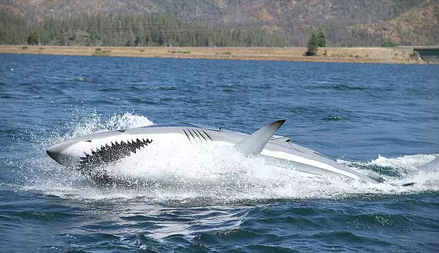 Rekin łódź podwodna przez Seabreacher (1)