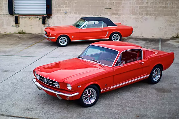 Revologie Mustang 1