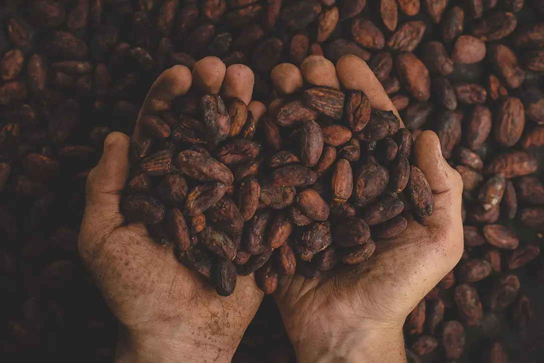 Resèt: Ki jan yo fè pafè kafe Ilandè a 14017_1