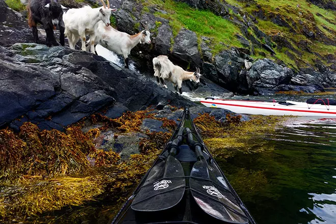 Zen na Kayaking na Tomasz Furmanek 9