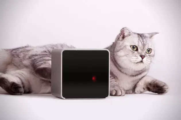 Petcube 2