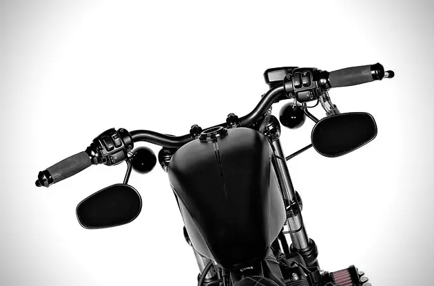 Harley Forty-Eight Custom by Rough Crafts (4)