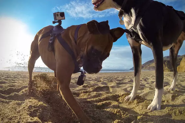 GoPro ಫೆಚ್ 3