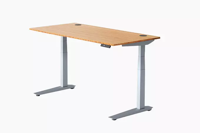 12 Beschte Standing Desks vun 2022 22629_1