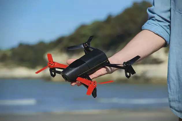 Papegaai Bebop Drone 2