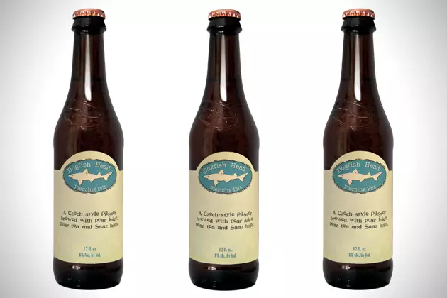 Dogfish Piercing Pils