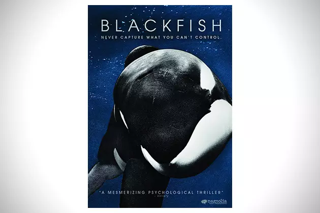 Blackfish