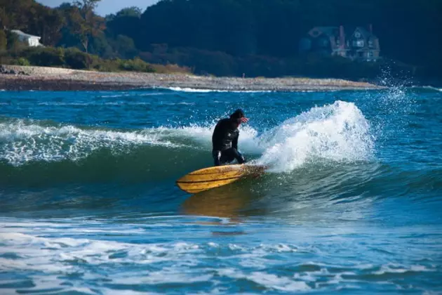 Sjálfbær viðarbrimbretti frá Grain Surfboards 7