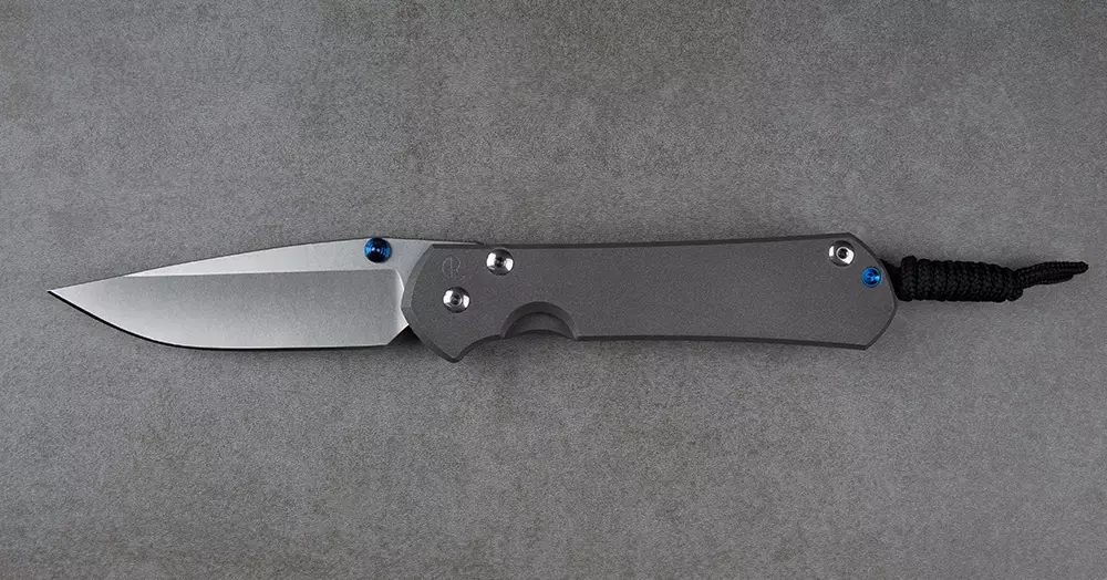 Chris Reeve Sebenza 31 Knife Review