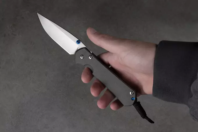 Chris Reeve Sebenza 31 Knife Review 391_2