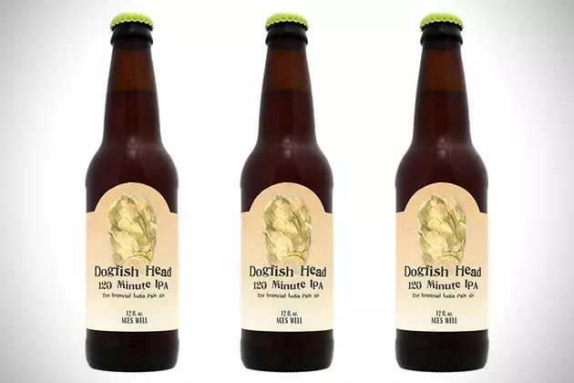 Dogfish Head 120 Minutong IPA