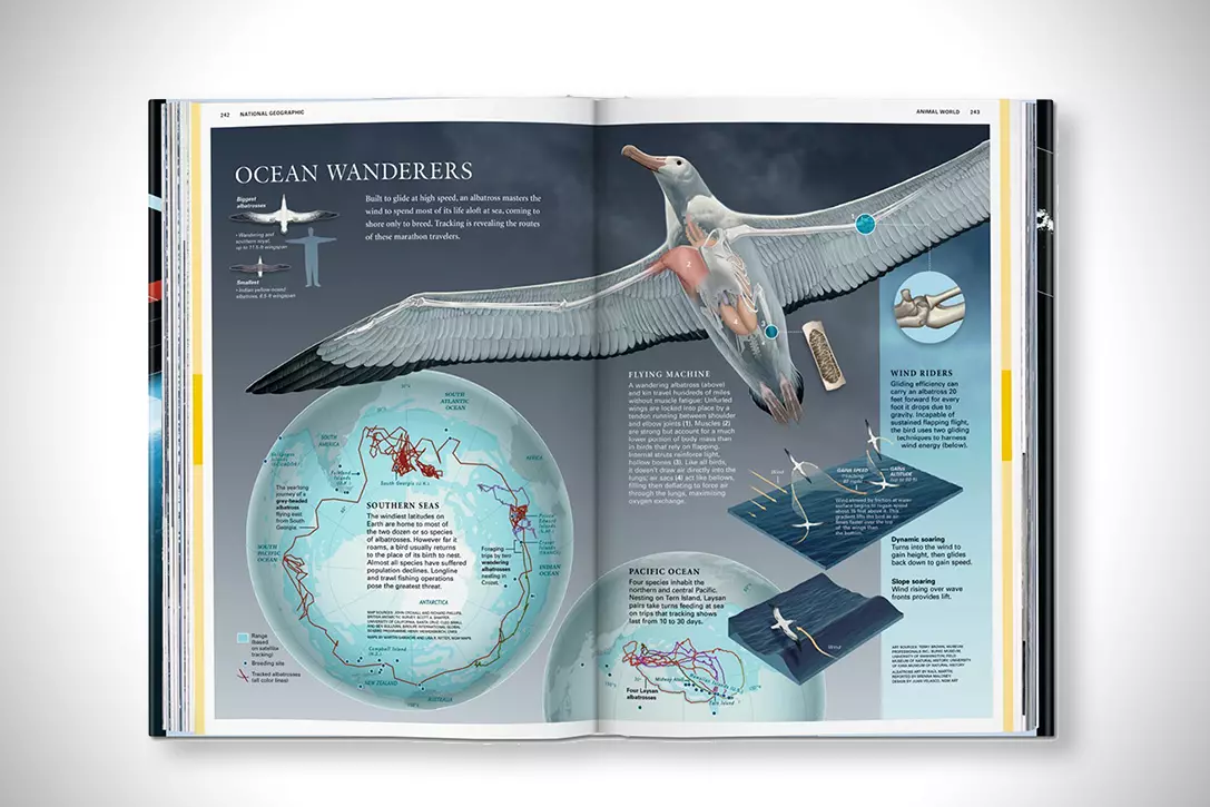 National Geographic Infographs Collection 5