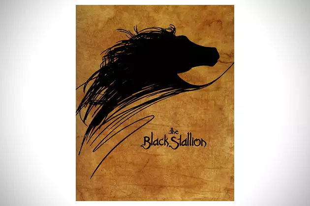 Black Stallion