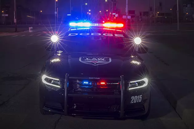 Dodge Charger Pursuit 5