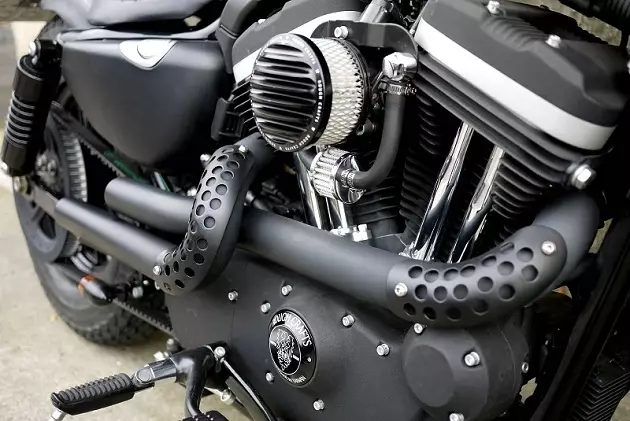 “Rough Crafts” partizan “Harley Sportster Custom” (3)