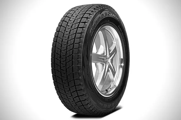 Bridgestone Blizzak DM-V1