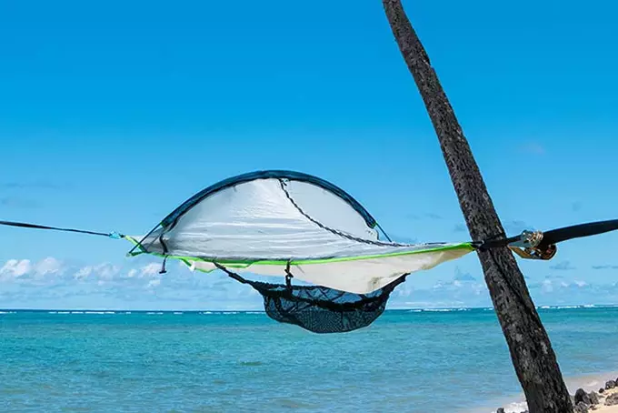 Tentsile vandenyno kalnagūbris 9131_2